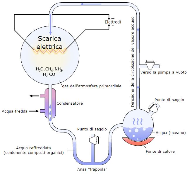 L'angolo della Geologia: Biosfera - Il brodo primordiale - L ...