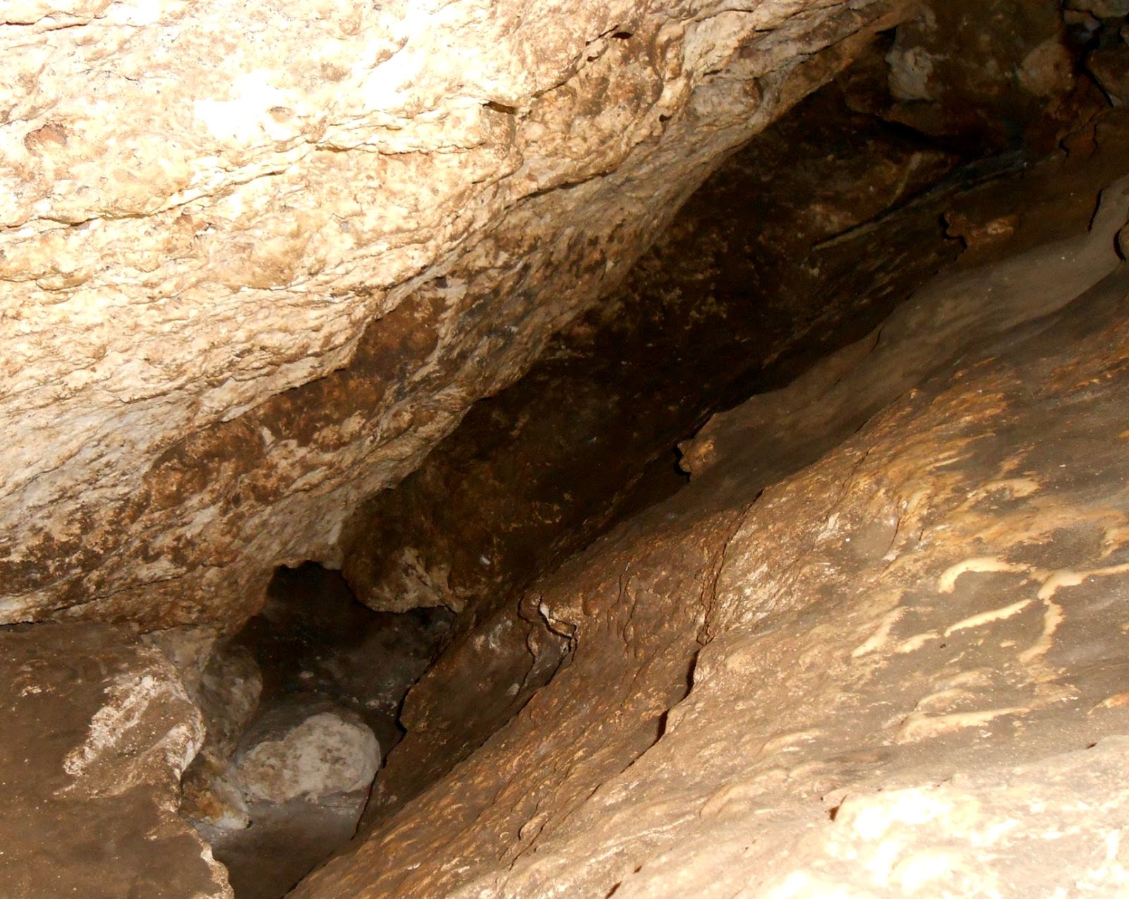 Dames Cave: Cave Spelunking in Florida - Lost Girls Adventures