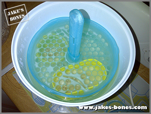 My brilliant new clever invention for cleaning bones : Jake's Bones