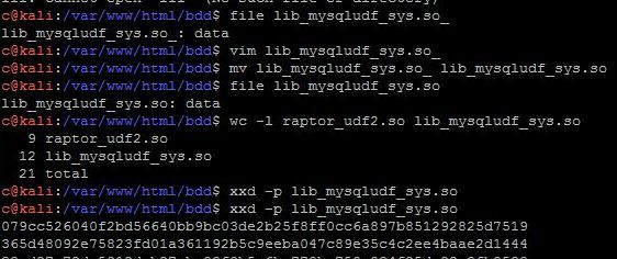 code16: Kvasir CTF - Writeup