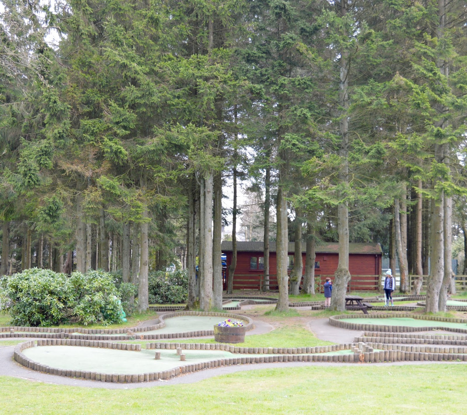 A Review of Darwin Forest & The Peak District with Tweens | North East ...