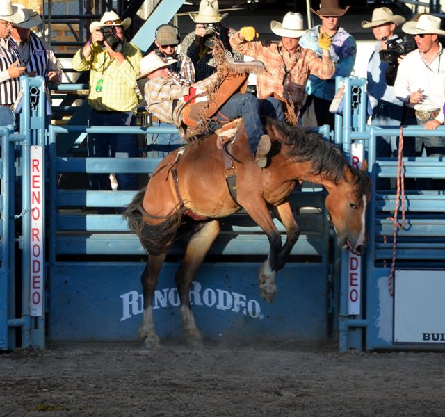 Random Images from a Nightowl: June 2011