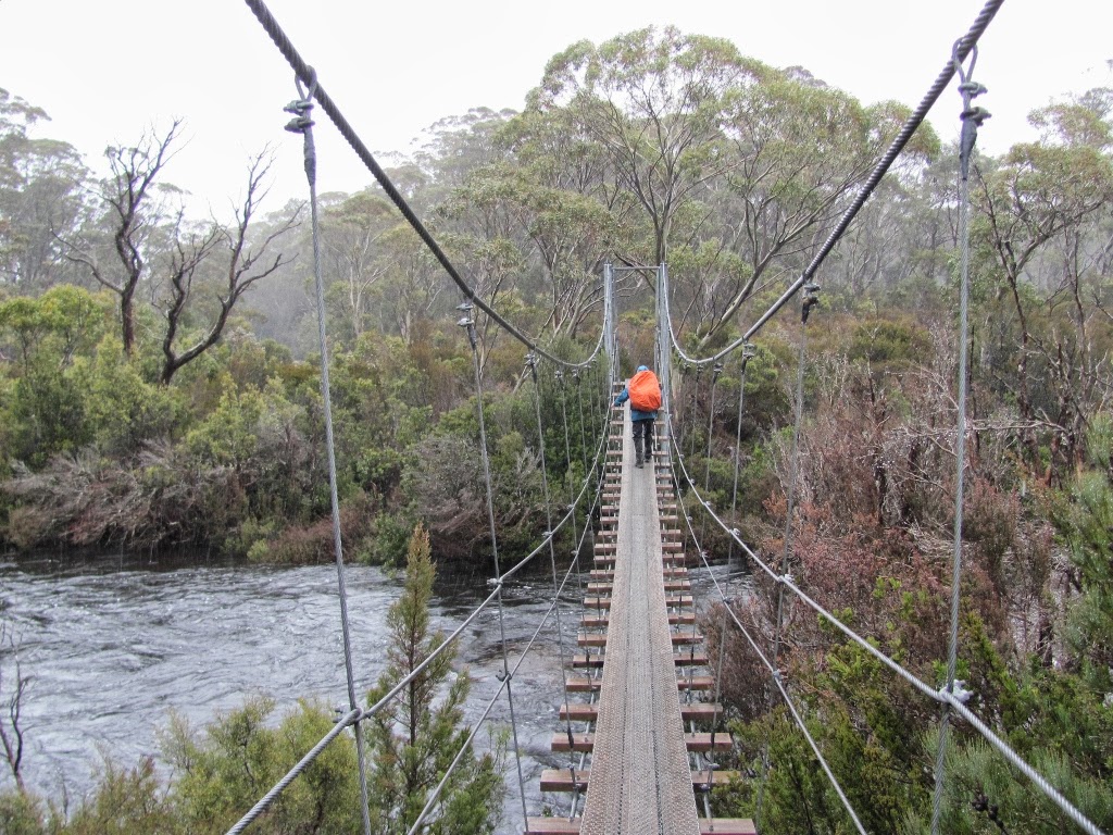 M&M Smith: TASMANIA : DAY 6 : OVERLAND TRACK : Windy Ridge Hut to Lake ...