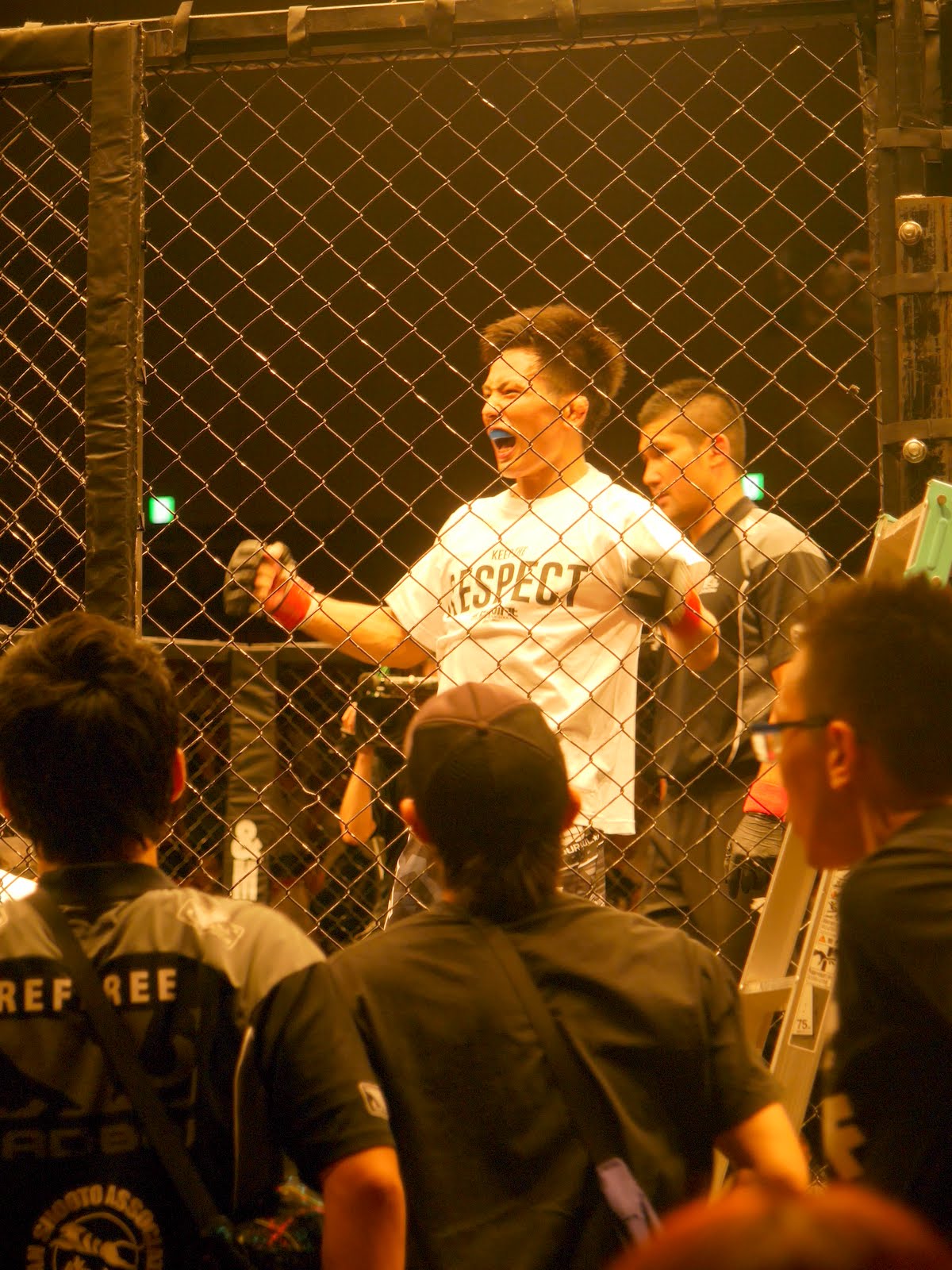 SKILL MMA: Japanese MMA Fighters to Watch Out 2017