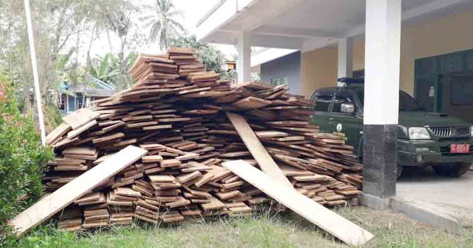 Polisi Hutan di Polman Tangkap Puluhan Kubik Kayu Uru Asal Mamuju!