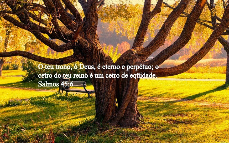 Palavra e Ação : RPSP- Salmos 45