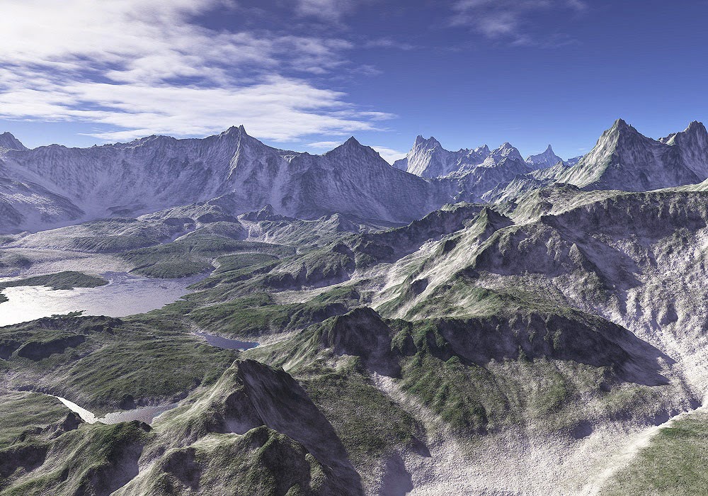 Thorny issues: Beauty in nature: fractals