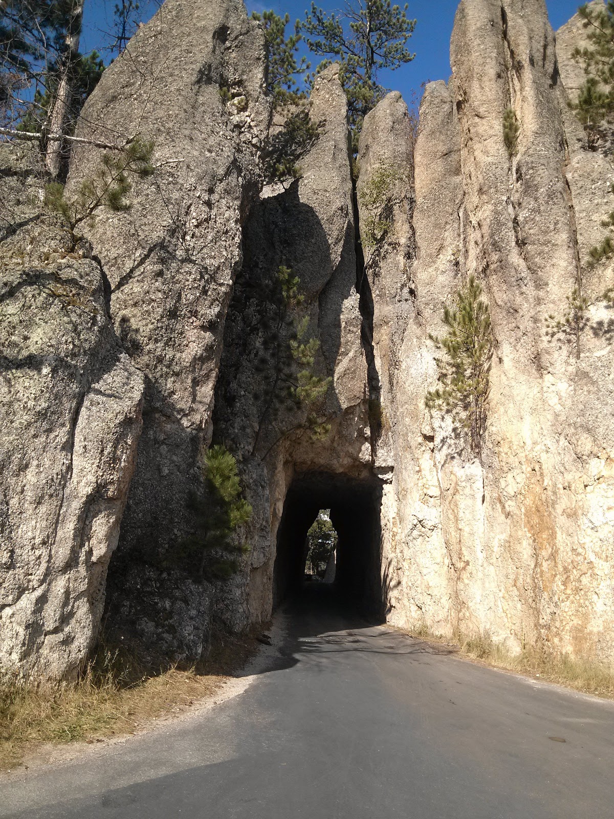 Dennis and Judy Travels: Needles Highway Scenic Drive, Custer State ...