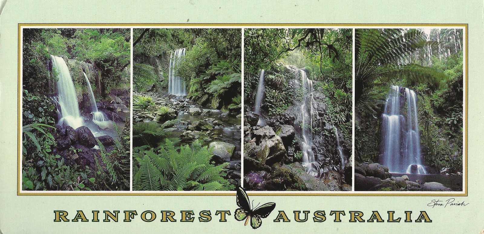 A Journey of Postcards: Australia's rain forests