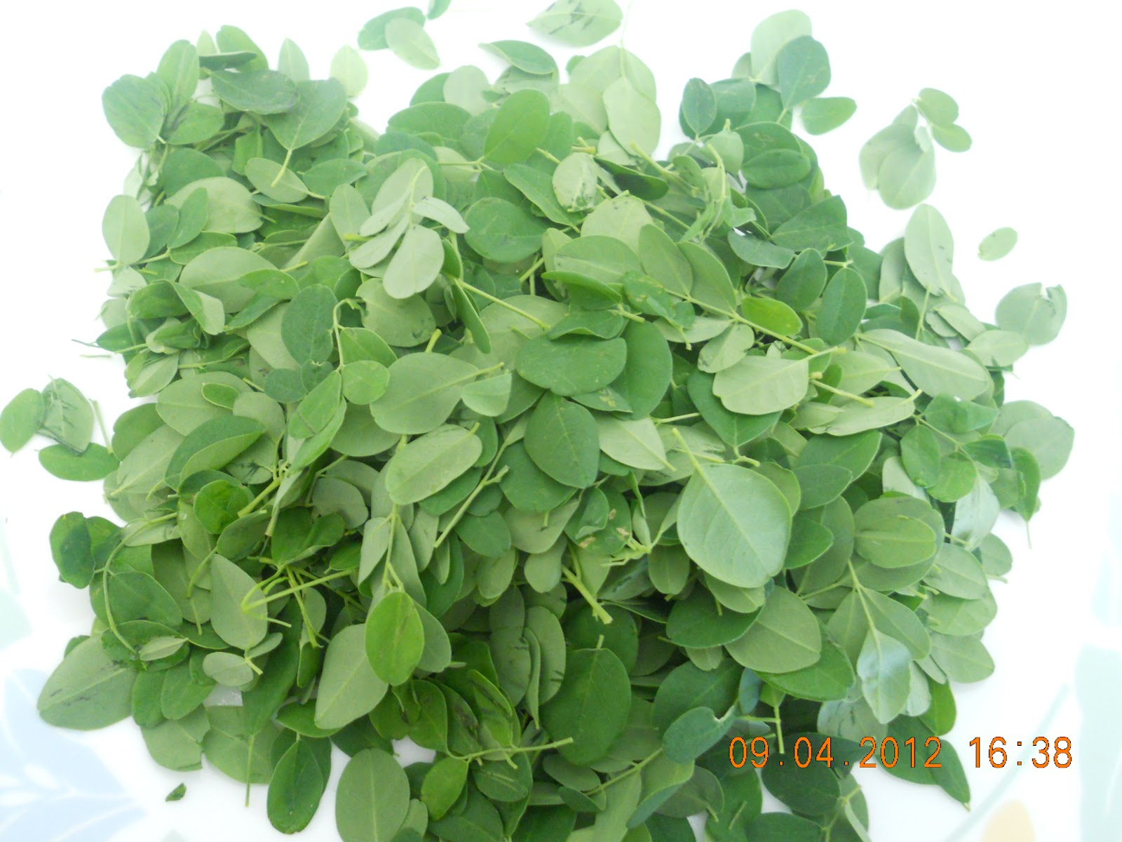 Welcome to my kitchen :): Murungai Keerai Poriyal / Drumstick Leaf Stir fry