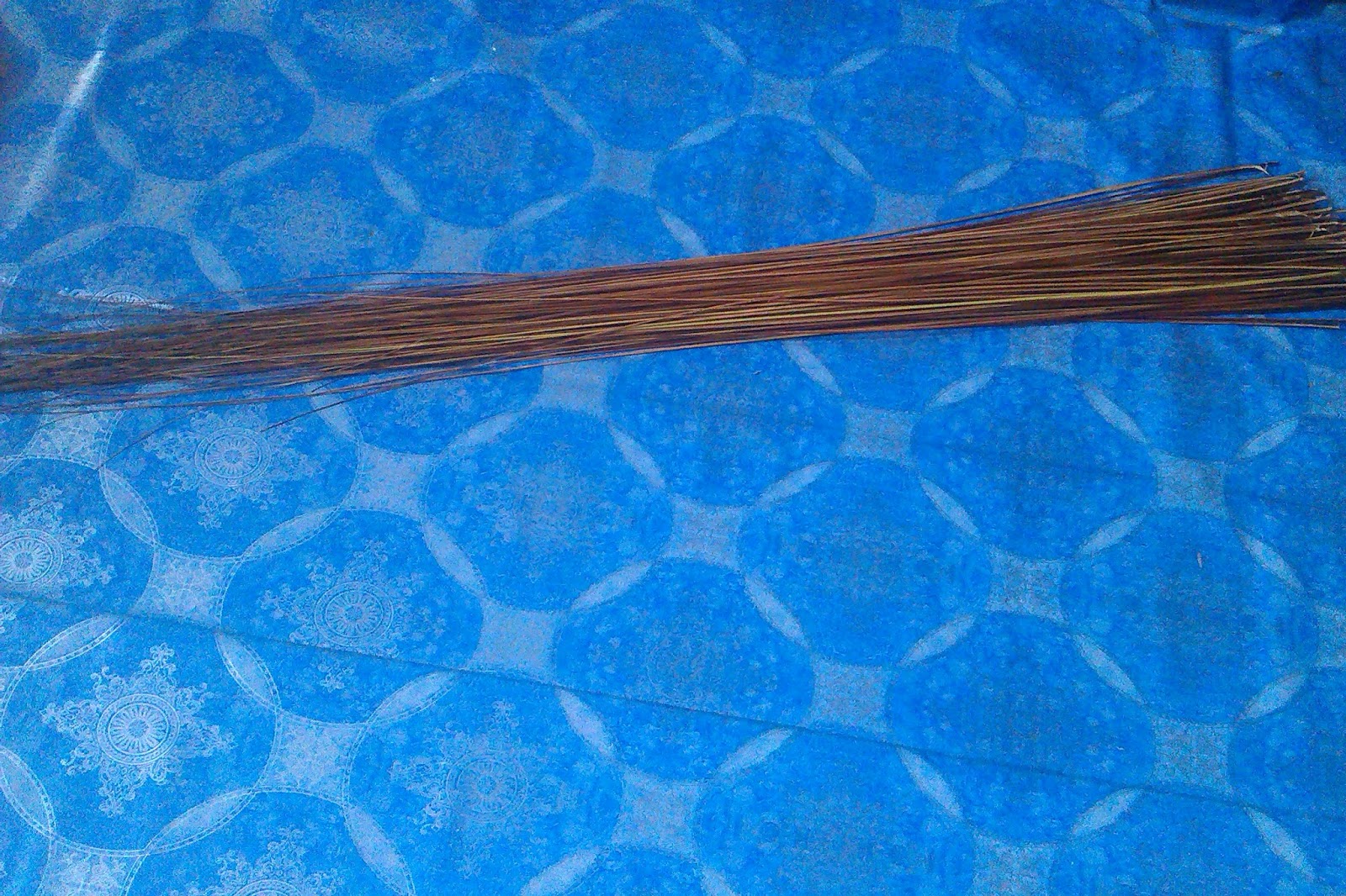 Meraut Daun Pokok Kelapa Untuk Dibuat Penyapu Lidi | Solehah Shamsuddin