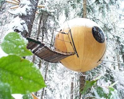 Wooden Sphere House | Everything About Design