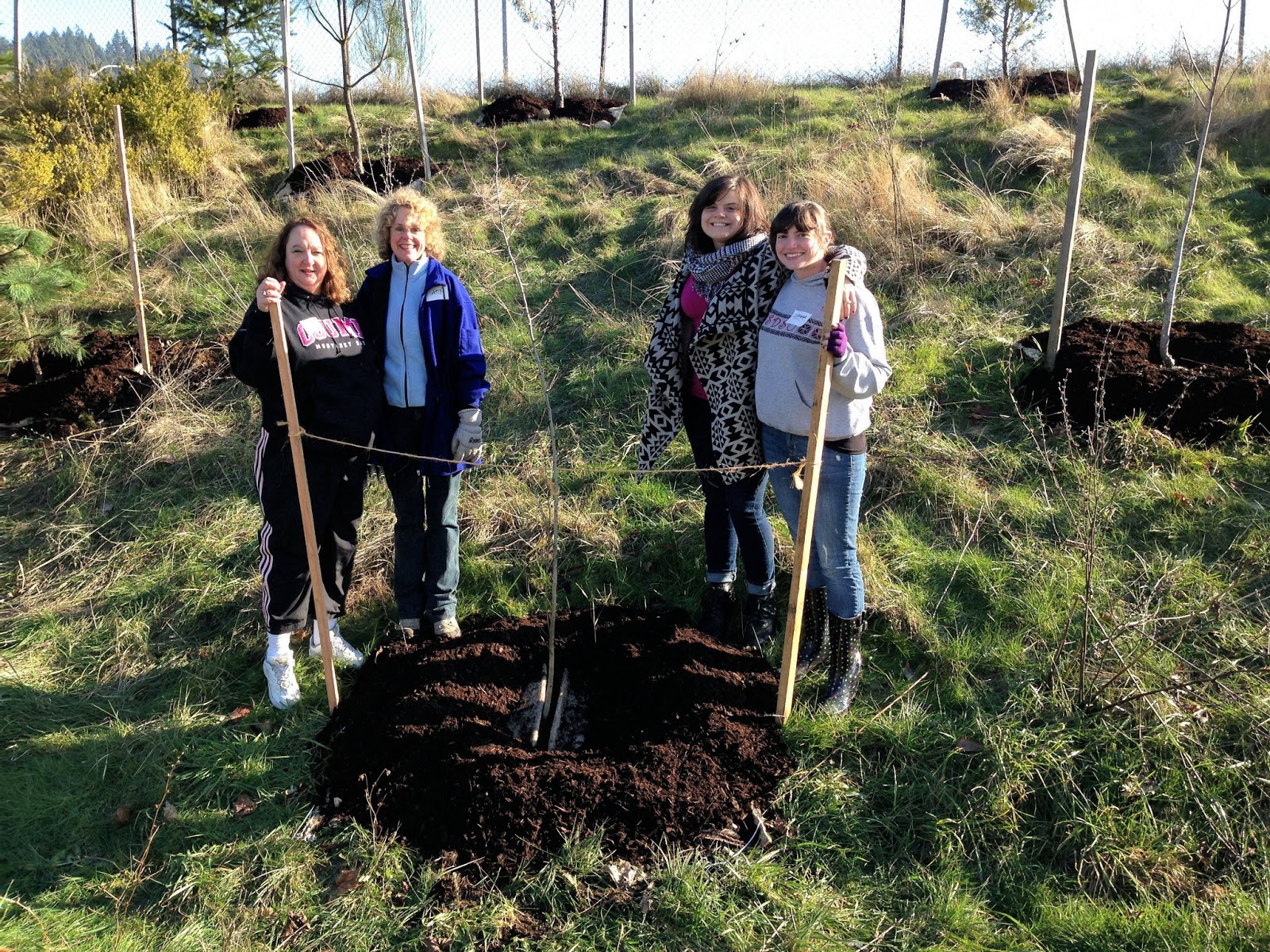 Tree Planting for Future Tree Hugging – MeetGreen