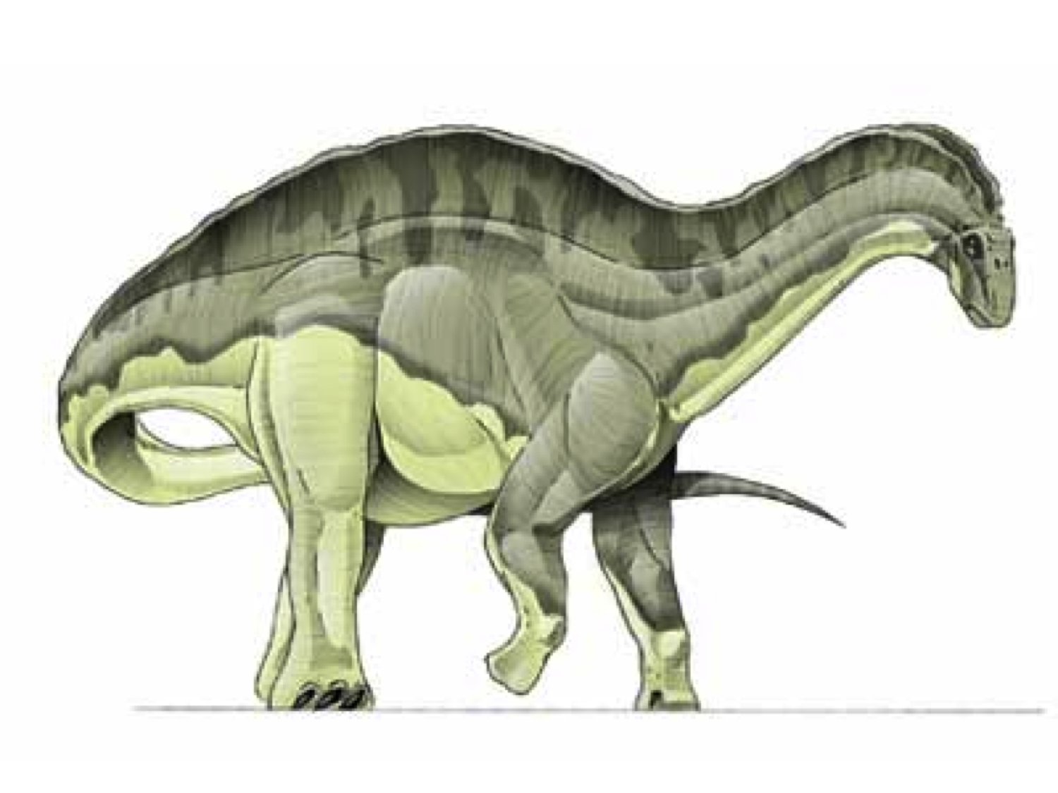 Jurassic Park Saga: A Cinematic Universe: Jurassic June Day 14 ...