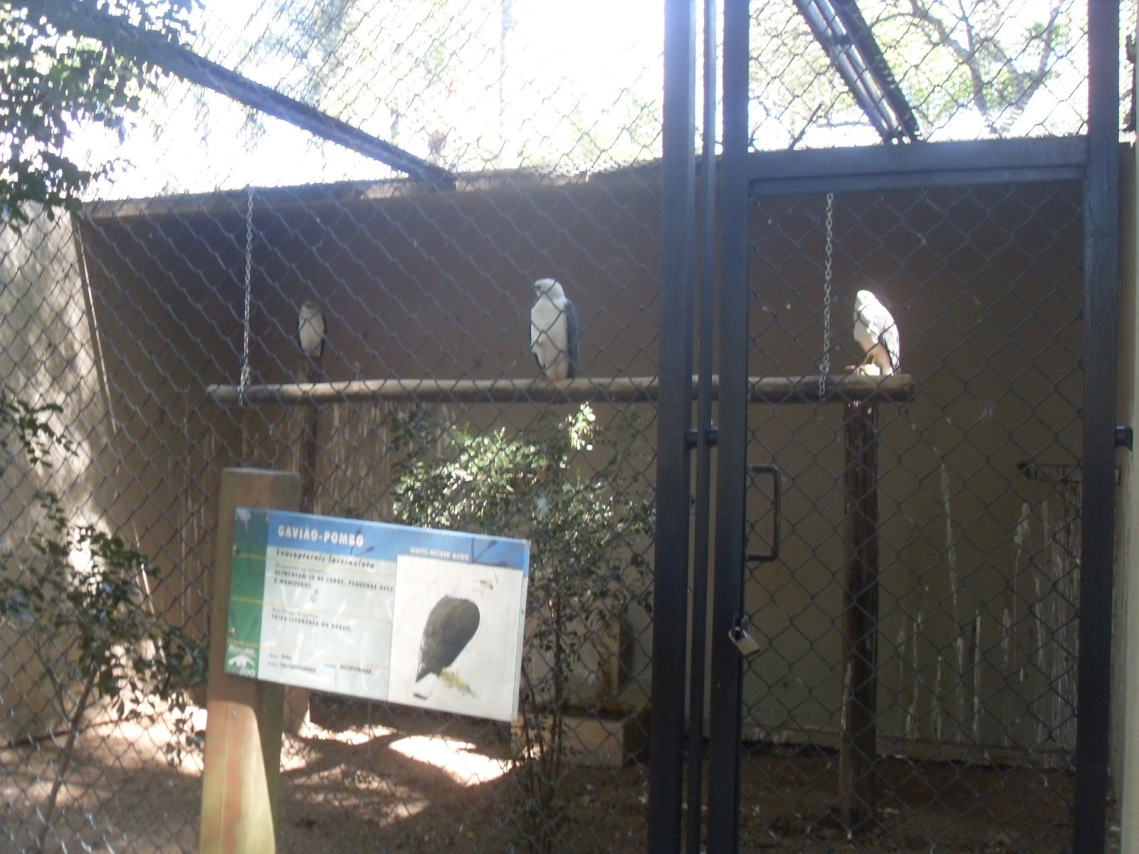 Guia Rio: RIOZOO - Fundação Jardim Zoológico da Cidade do Rio de Janeiro