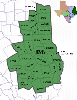 Fifty Shades of Retirement: The Big Piney Woods