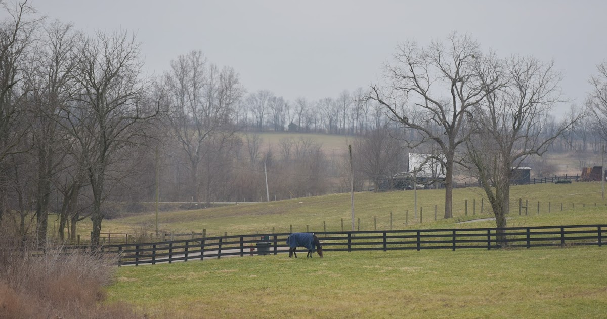 Punkin's Patch: The Corner