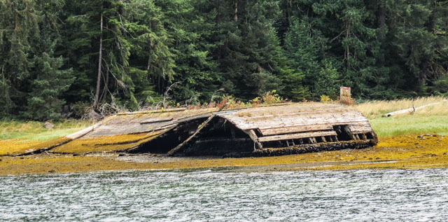 OnTheMove-Cruise News: Loggers, Logging, and Log Rafts