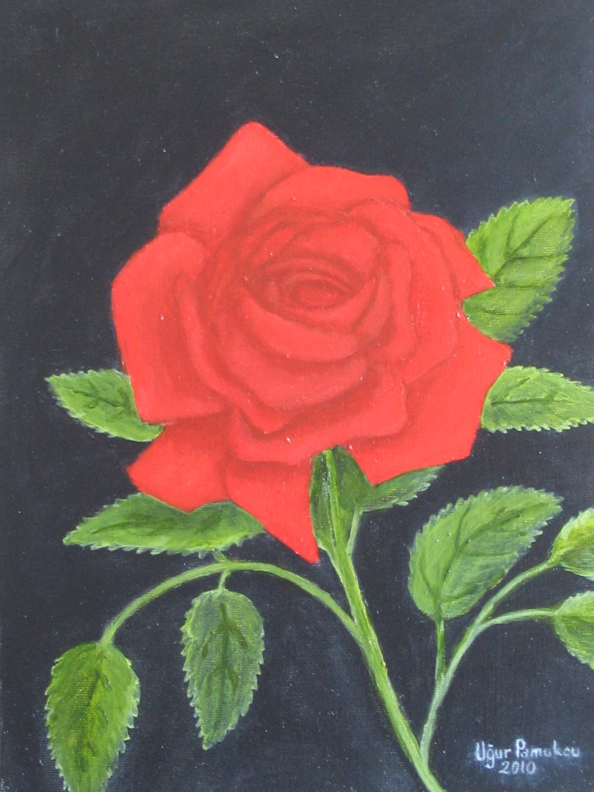 Sanatsal etkinliklerim: Kırmızı gül - Yağlı boya - The red rose - oil ...