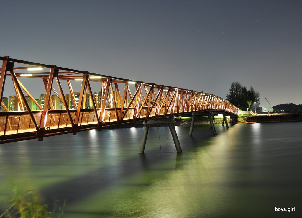 SengkangBabies: Lorong Halus Wetland, Night scene