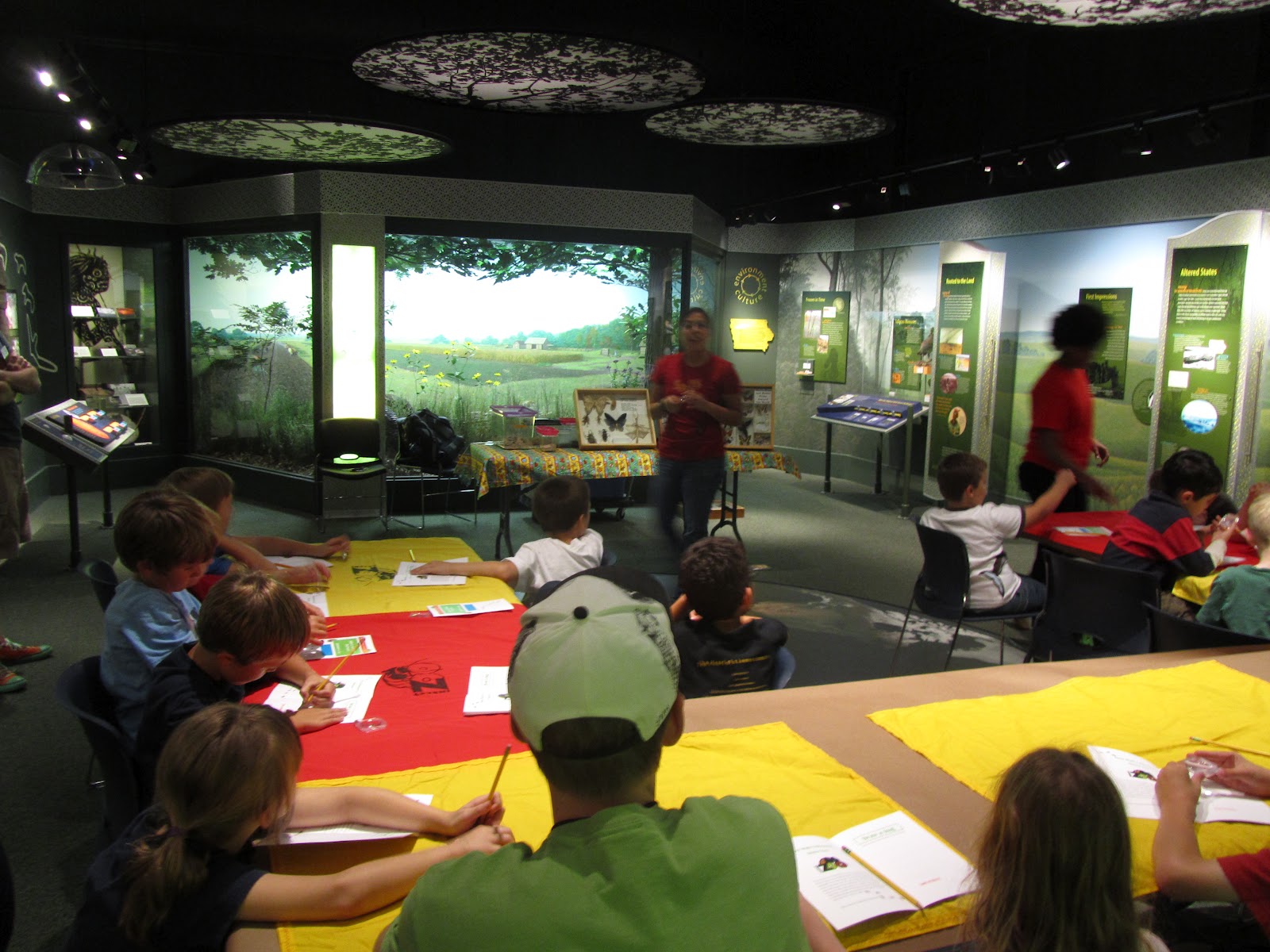 Museum of Natural History: Insects are invading the museum!