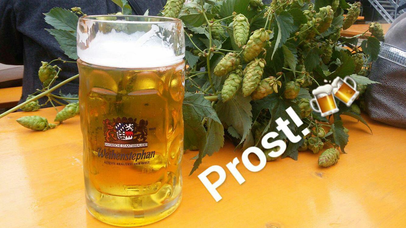 TEOR(ia) de cerveja: 11. Hallertauer Hopfakranzfest - 11. Festa de ...