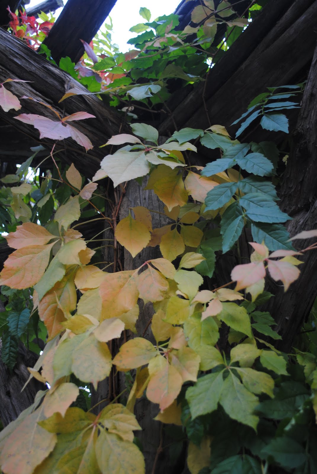 Anthony Stratis Designs in the making