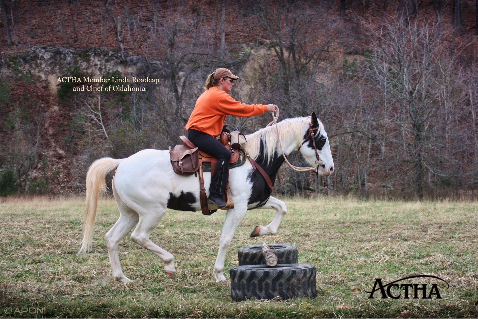 American Competitive Trail Horse Association: ACTHA in Arkansas ...