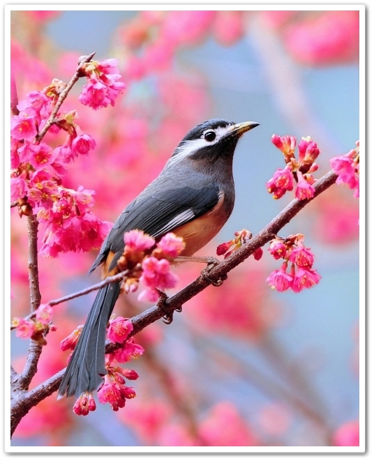 Reménykeltő: Szép tavaszi képek