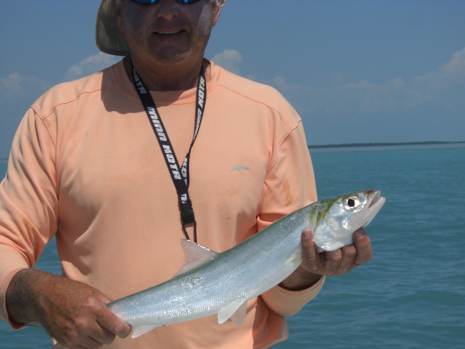 MY LIFE IN THE FLORIDA KEYS AND BEYOND: A Bonnet Head AKA Shovelhead ...