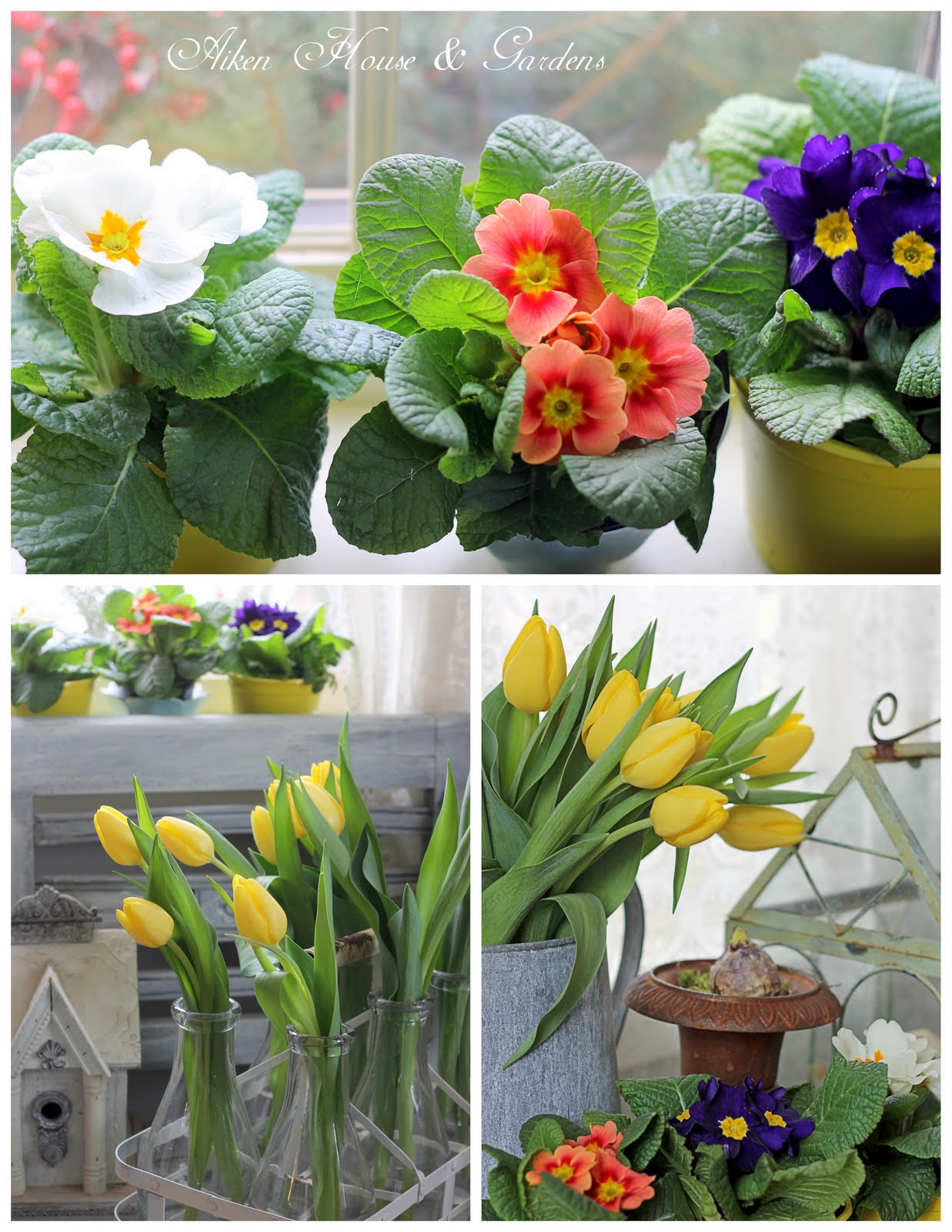 Aiken House & Gardens: Indoor Spring Garden