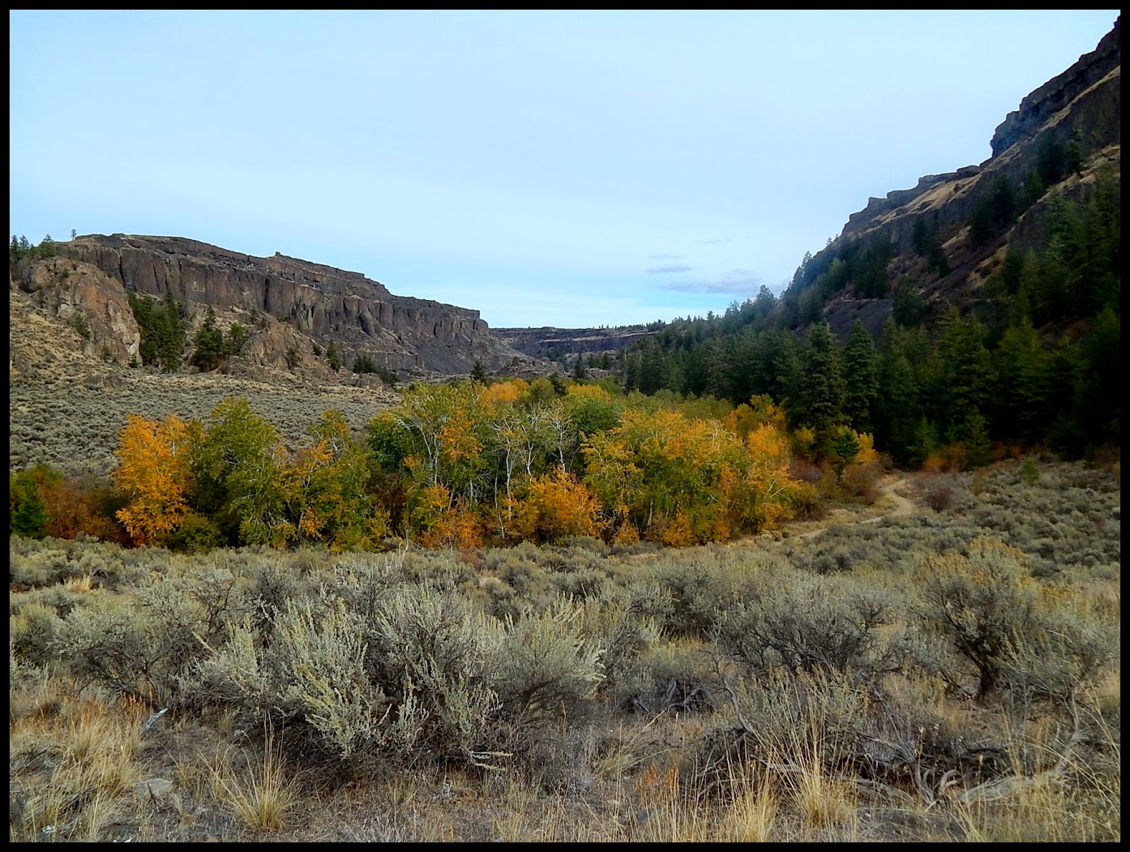 The Back Porch View: Northrup Canyon - A Time Capsule Awaiting Exploration