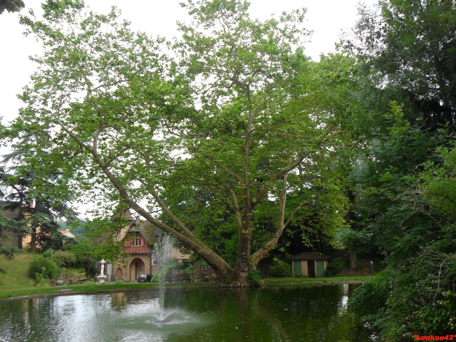 Parce que les mots peuvent tout...: Le parc du manoir.