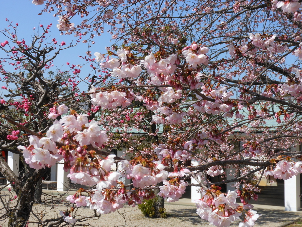 Aerides Designs - Handcrafted Gemstone Jewelry