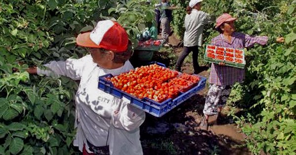 OFERTAS DE EMPLEO EN CANADÁ