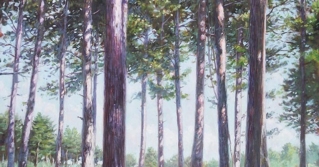 Martin Davey Illustration and Fine Art: Pines In New Forest Shade ...
