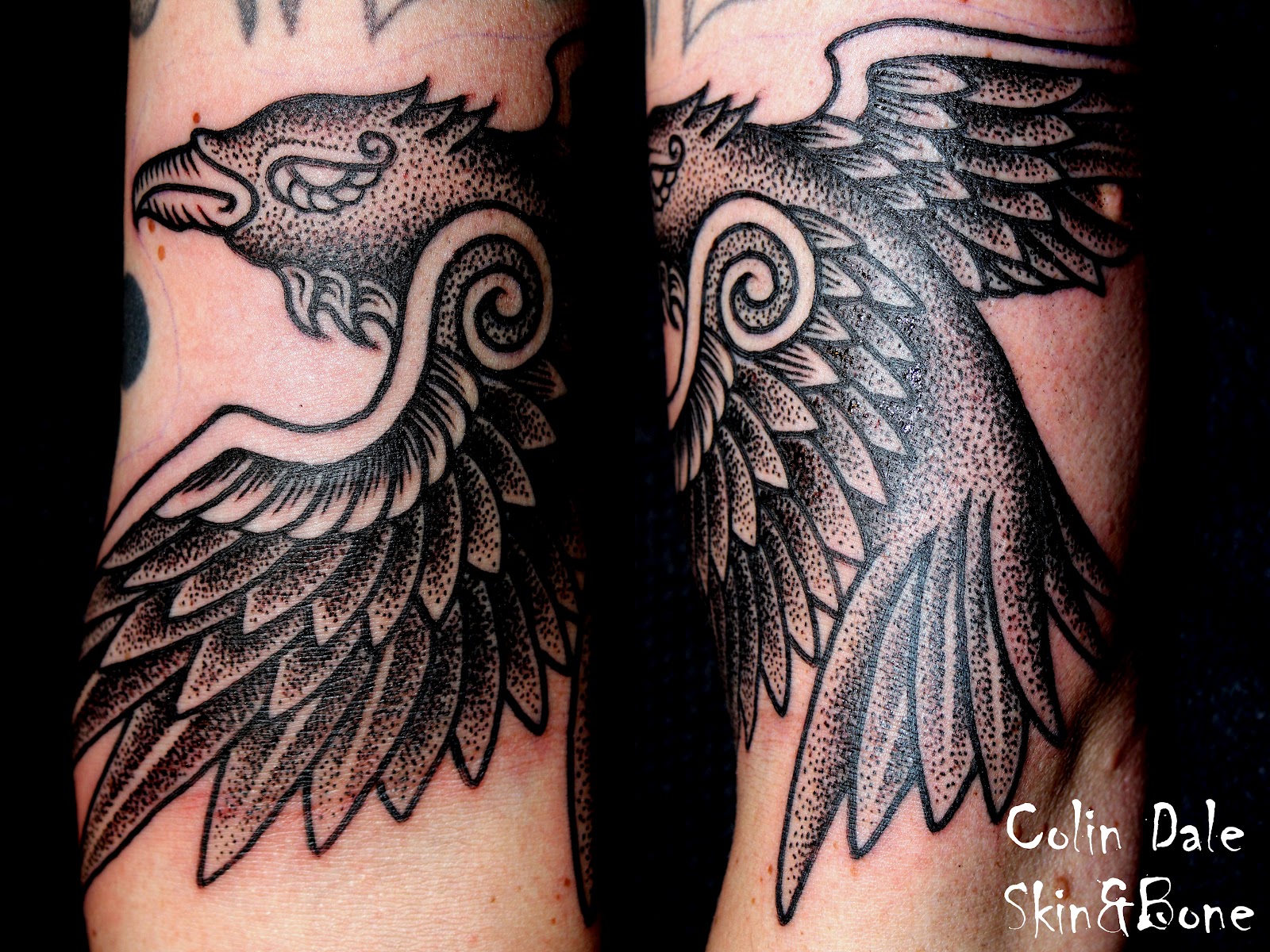 SKiN&BoNE: Hugin & Munin... Odin's 2 Ravens