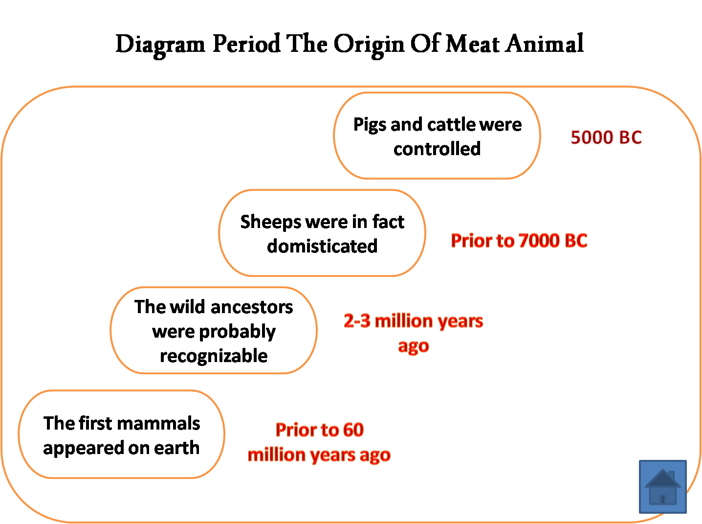 Animal Science and Technology: Meat Science "the origin of meat and ...