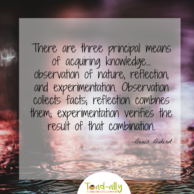 Toad-ally Exceptional Learners: Reflect to Increase Teacher Capacity