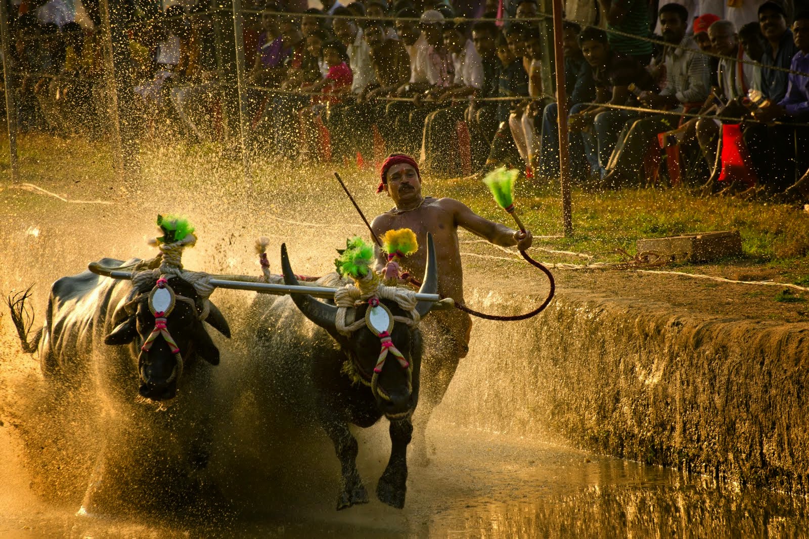 A lot of wanderings around India, A little around the world: Kambala ...