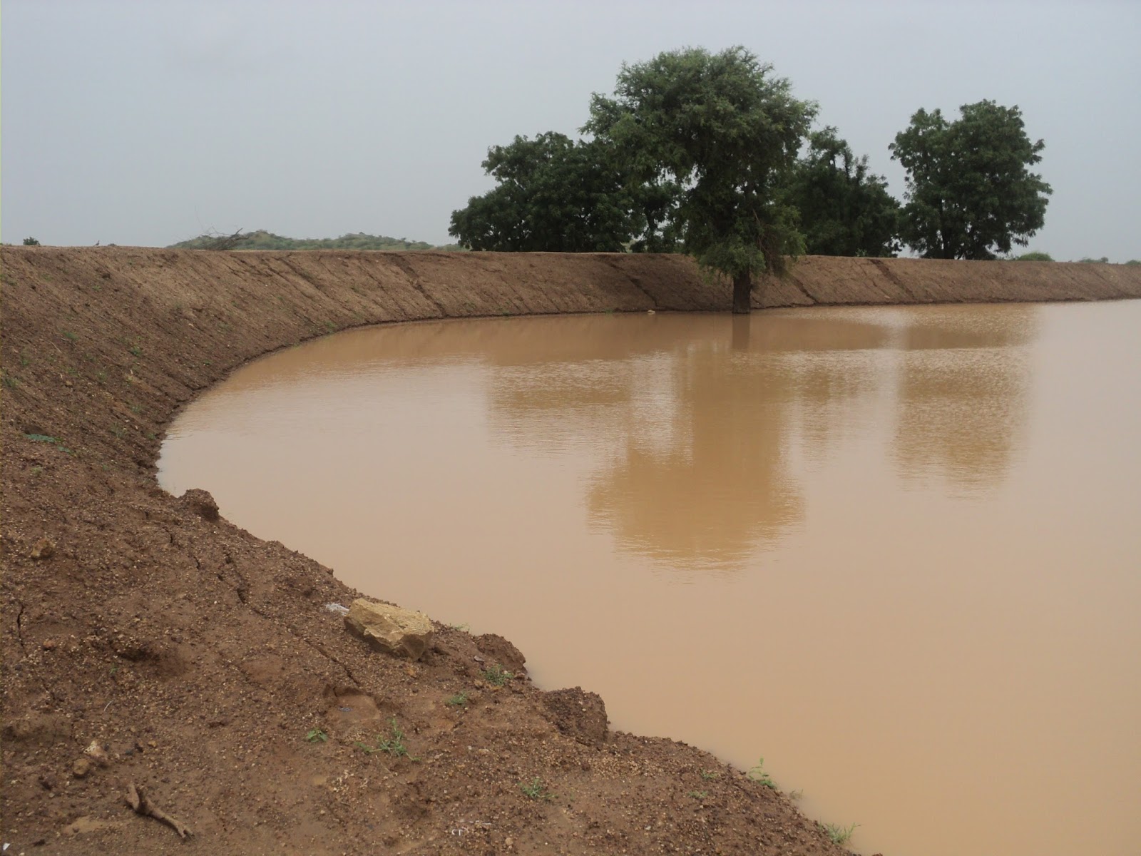 Harvesting rain water for agriculture - A story of Eval