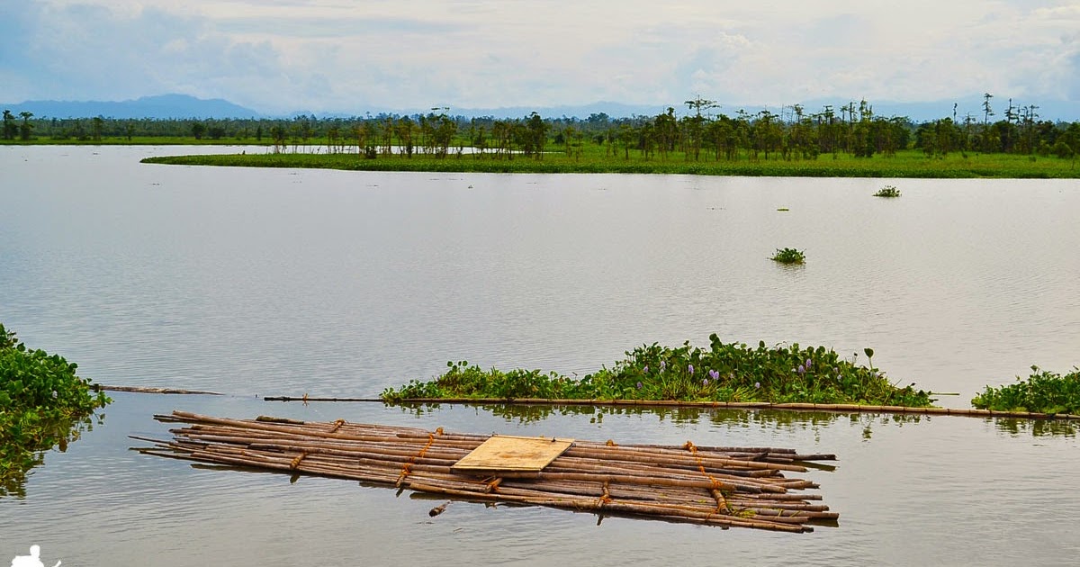 AGUSAN MARSH WILDLIFE SANCTUARY: One Humbling Experience
