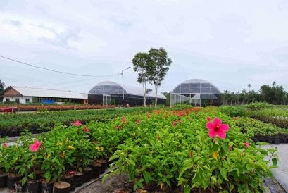 Bangka Botanical Garden (BBG): Primadona Wisatawan di Bangka ~ Blog ...