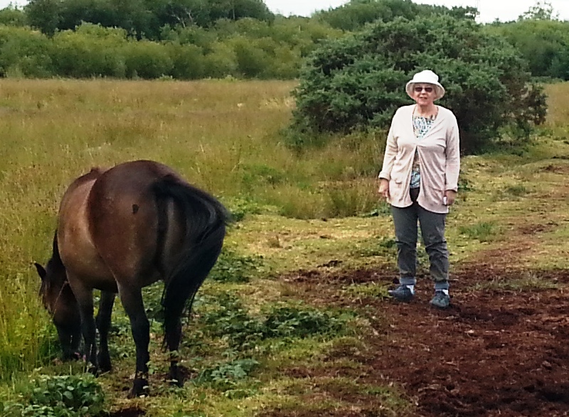 Wading Through Treacle: Westhay Moor and Nature Reserve