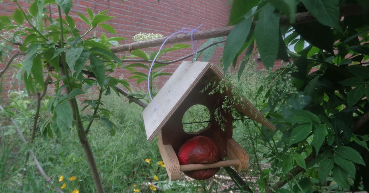 BEIJUMNIEUWS: WEES LIEF VOOR VOGELS EN GEEF EEN VERROTTE APPEL