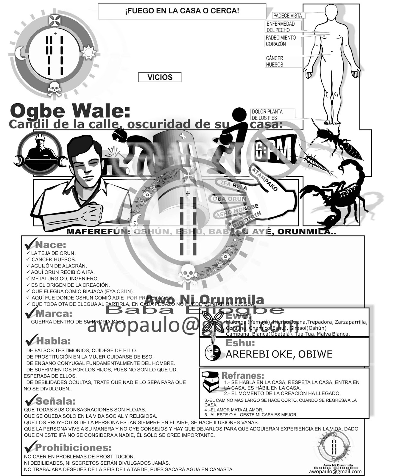 Venta de Tratado Enciclopédico de Ifa Ilustrado : OGBE WALE