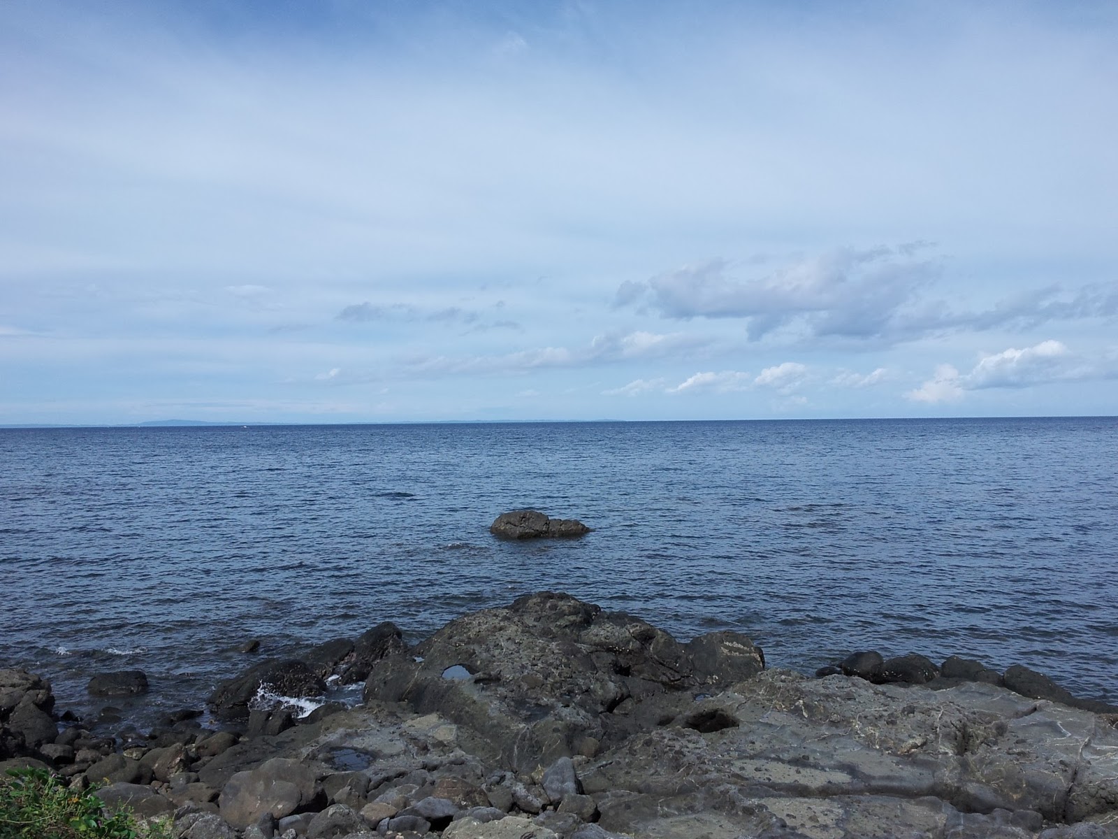 In Love With Sunflower: Road and Food Trip at Real, Quezon