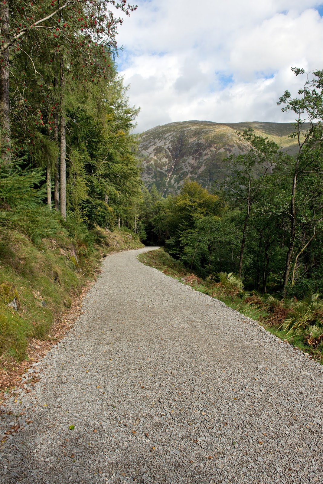 Wigtwizzle - Norman Smith's Travel Blog.: Harrop Tarn and Thirlmere