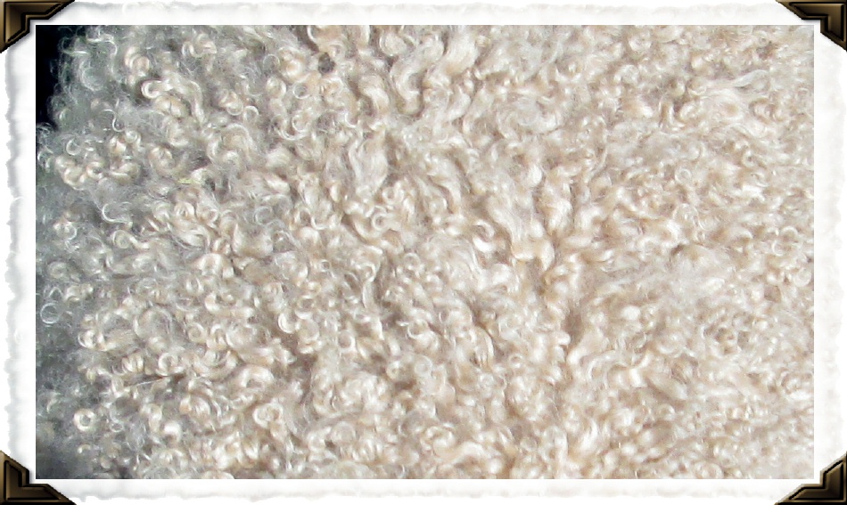 farmjournal: Puzzle, Moon Pie & Sheldon lambies!