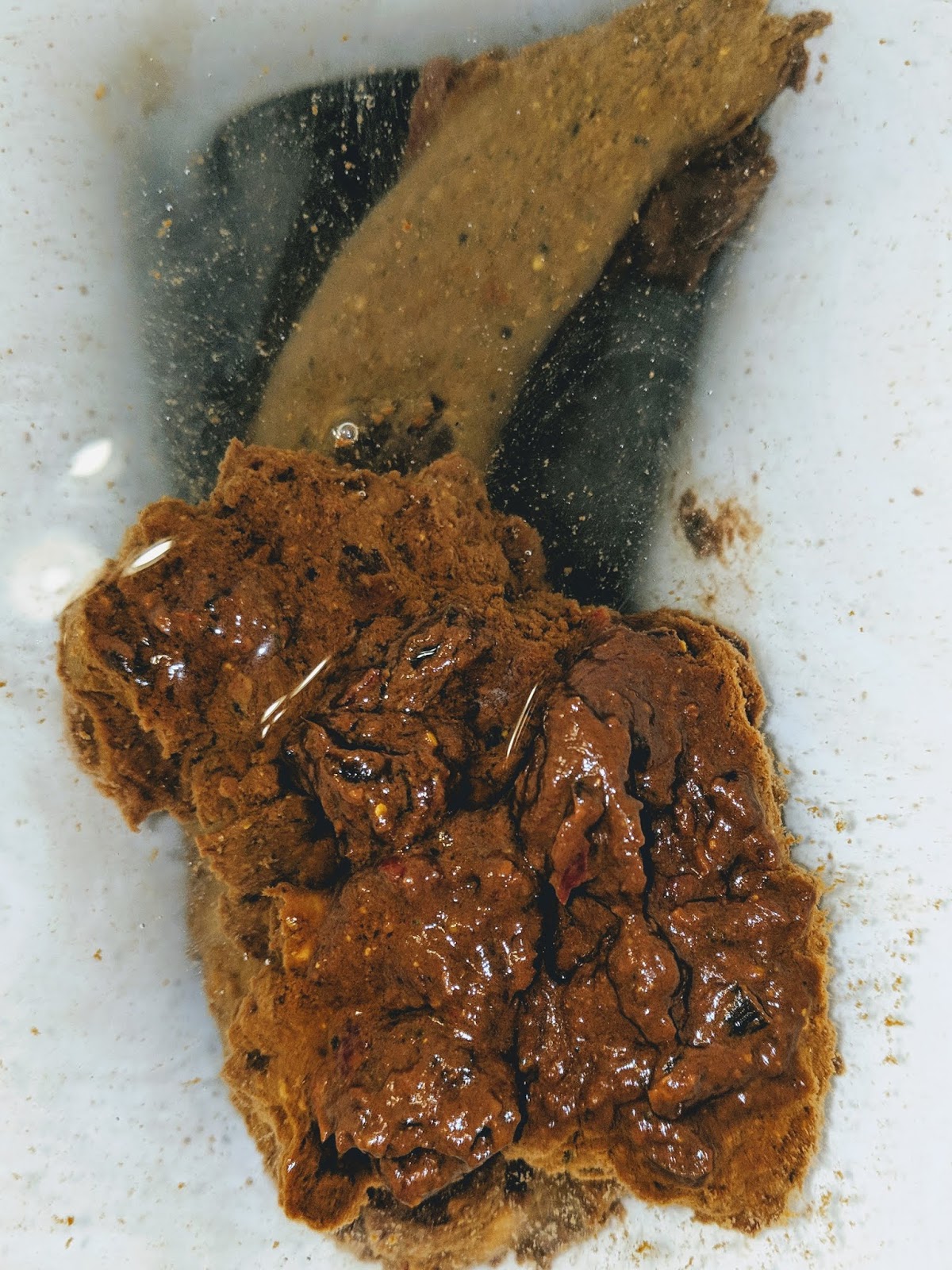 My Daily Poo: February 2019